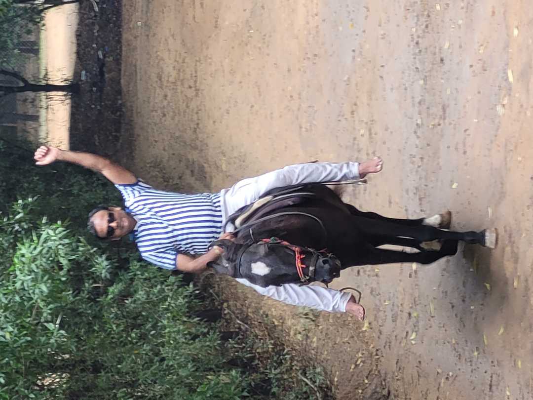 Rangmanch Farms 𝗕𝗢𝗢𝗞 Gurgaon Farm House