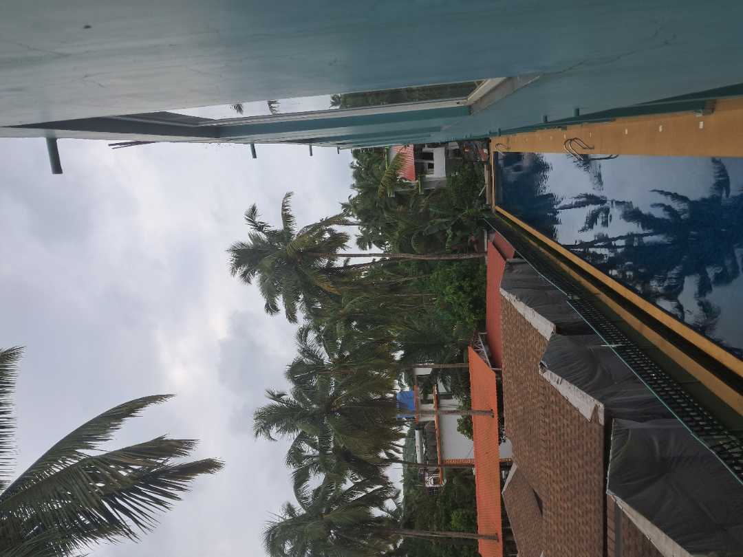 Photos of Ravissant Hotel Mandrem - Hotel in Goa