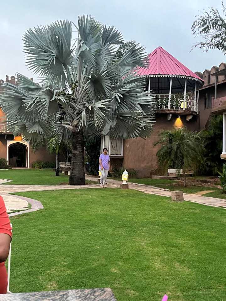 Pushkar Fort - Luxury Heritage Resort 𝗕𝗢𝗢𝗞 Pushkar Resort