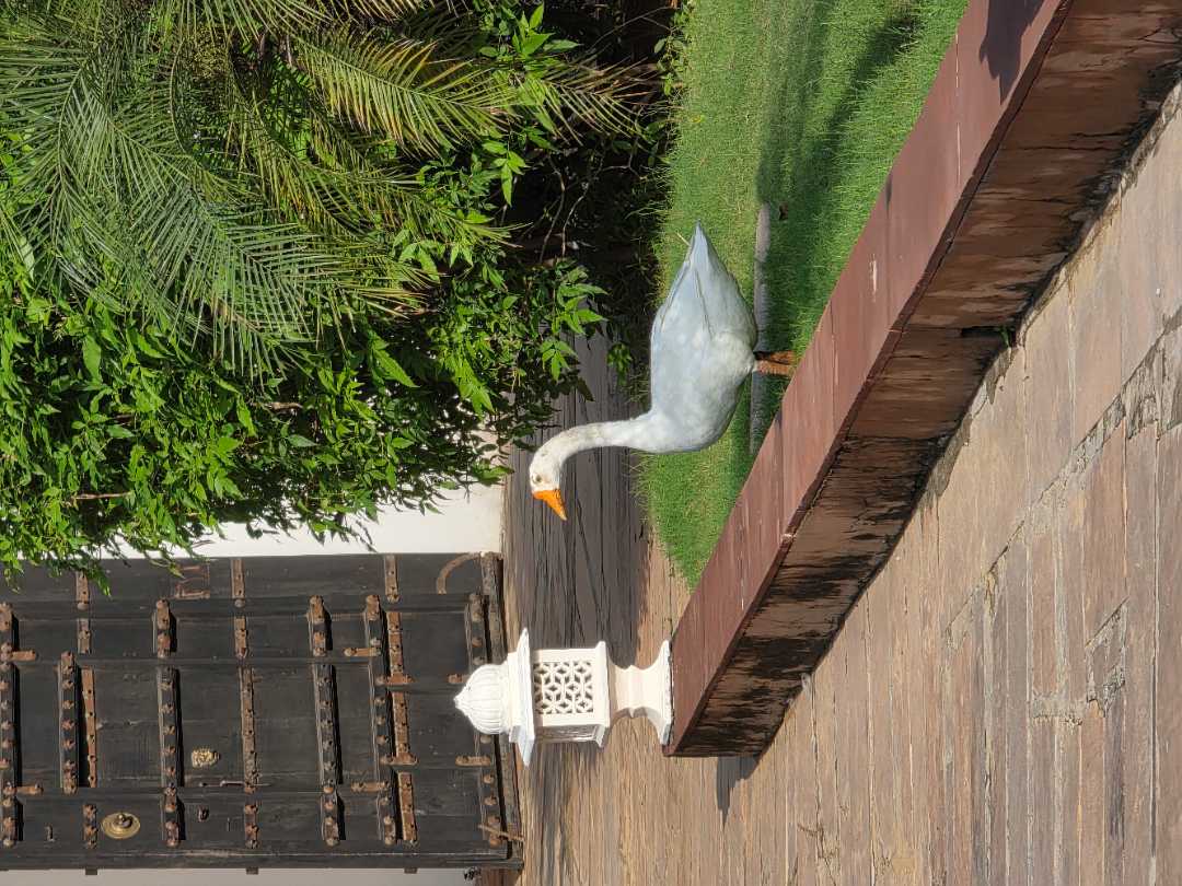 Pushkar Fort - Luxury Heritage Resort 𝗕𝗢𝗢𝗞 Pushkar Resort