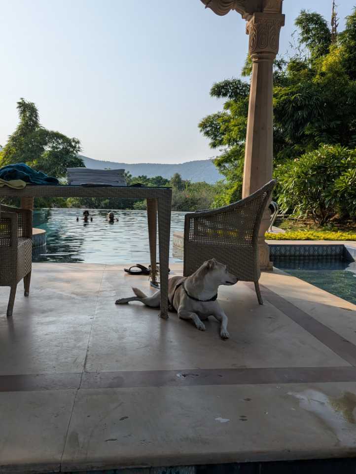 Tree of Life Resort and Spa, Jaipur 𝗕𝗢𝗢𝗞 Jaipur Resort