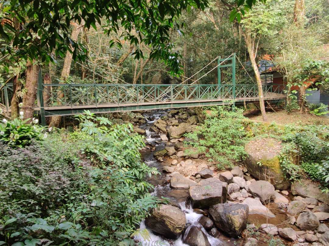 Vythiri Resort 𝗕𝗢𝗢𝗞 Wayanad Resort