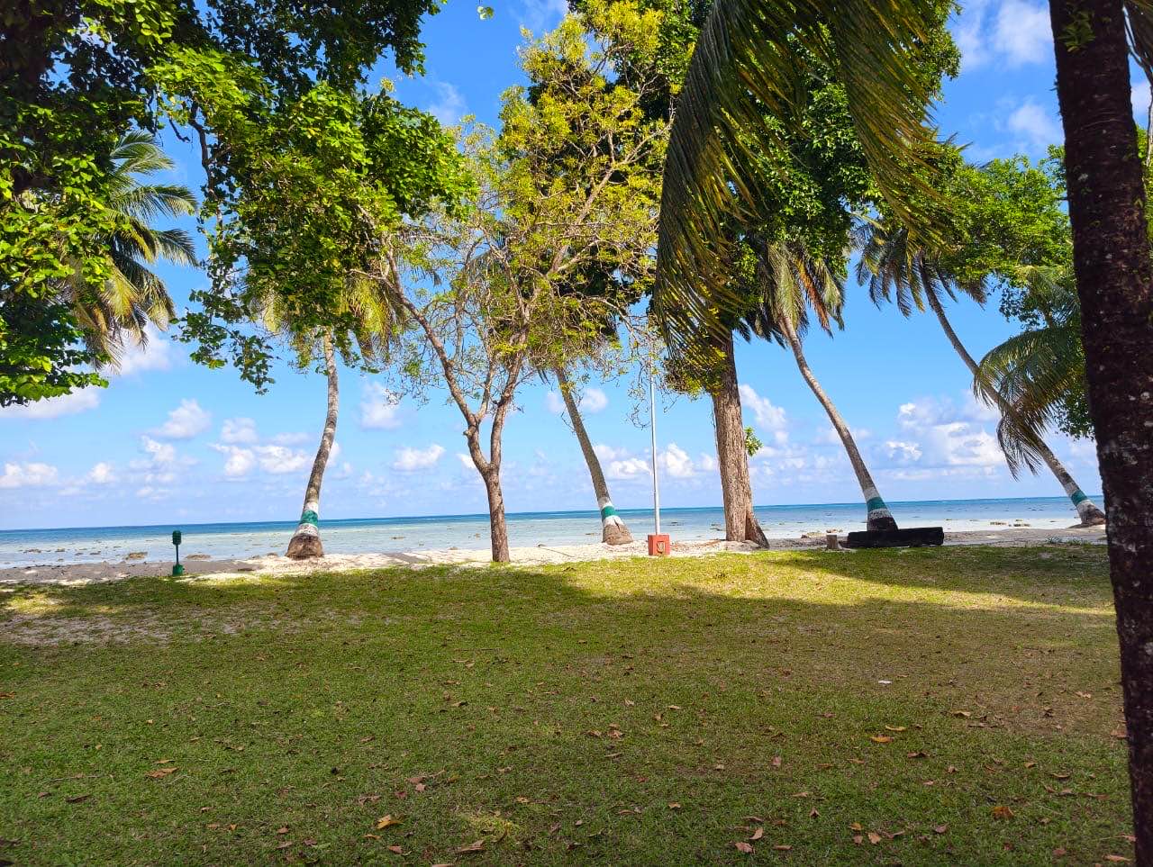 Dolphin Beach Resort 𝗕𝗢𝗢𝗞 Havelock Hotel